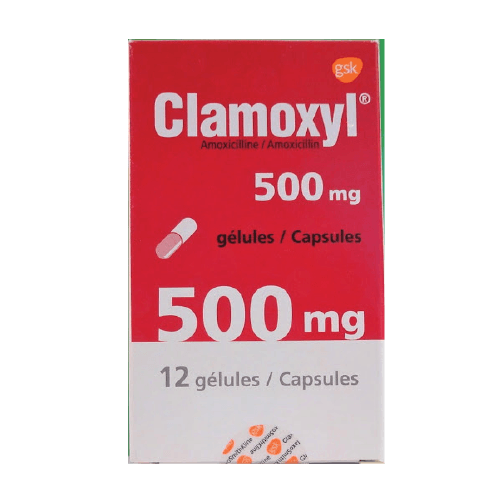 CLAMOXYL 500mg Capsules (Box/1x12) – TOVPET.COM